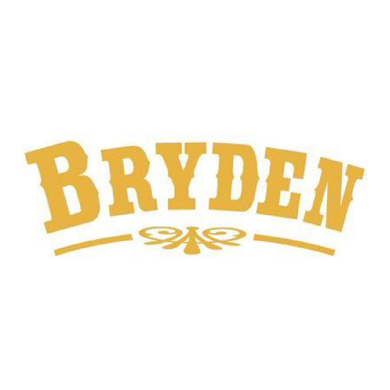 Bryden - at Volaris Music Melbourne