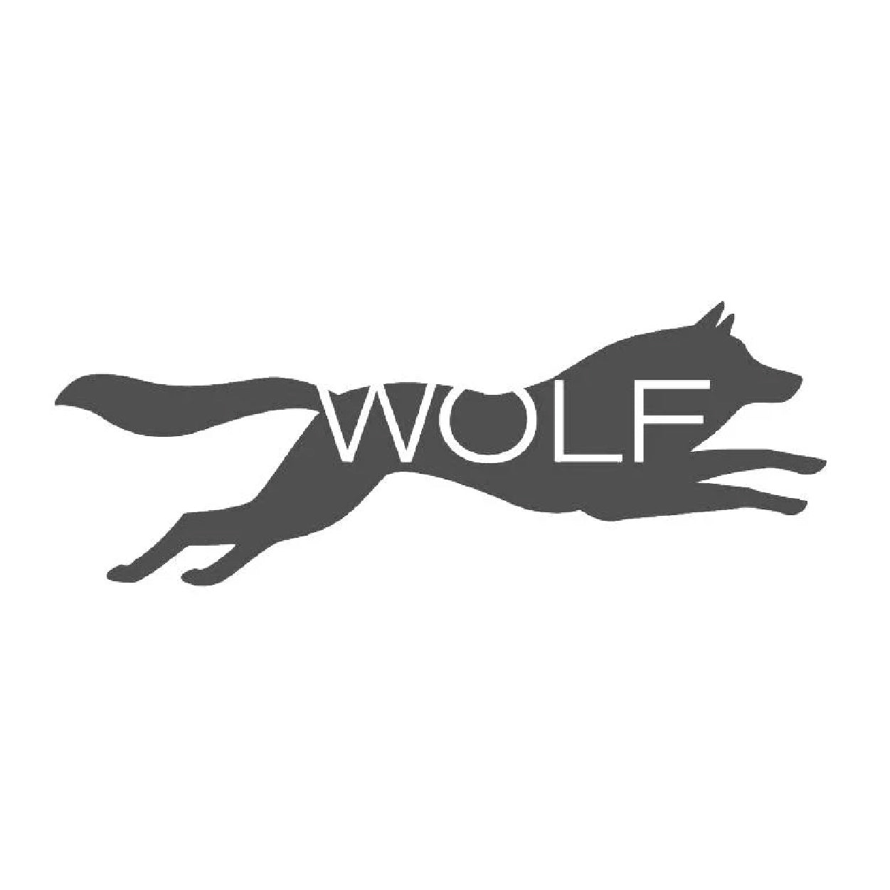 Wolf - at Volaris Music Melbourne