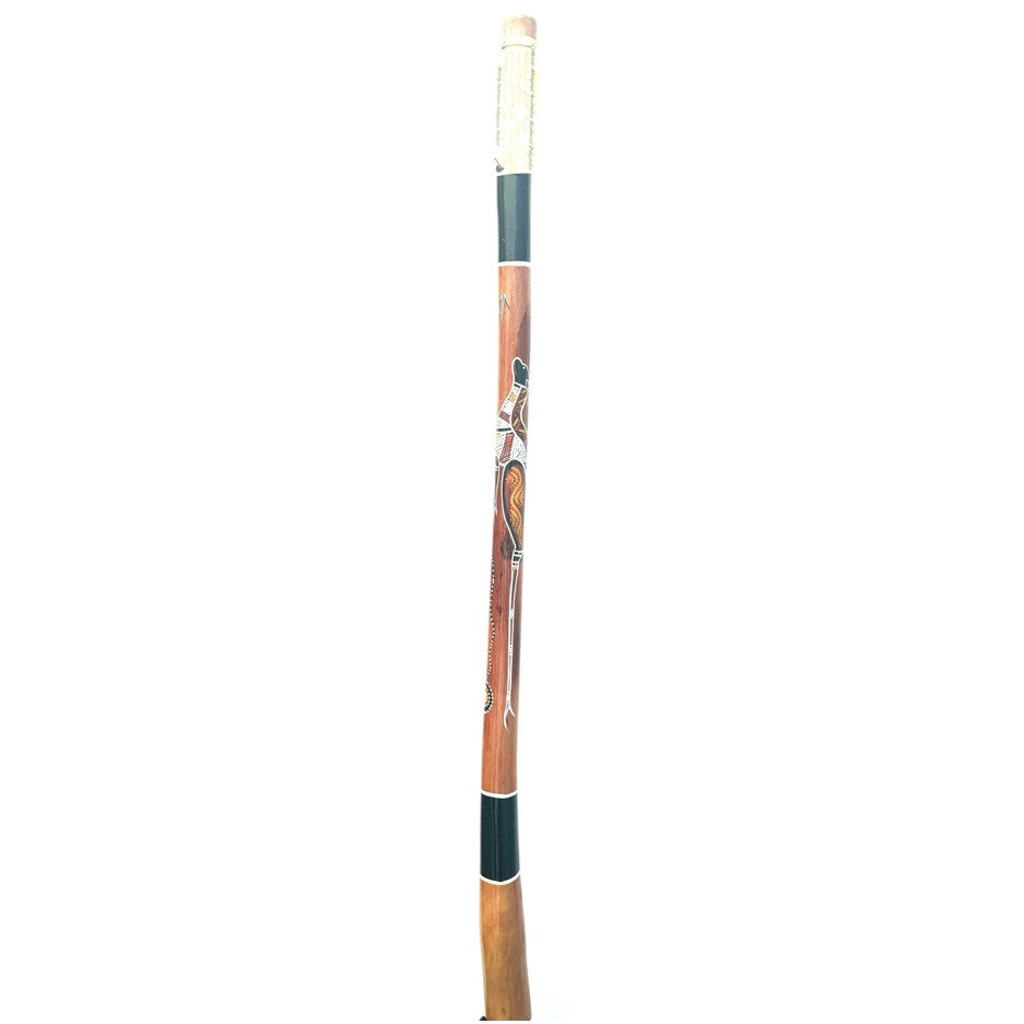 Indigenous Instruments